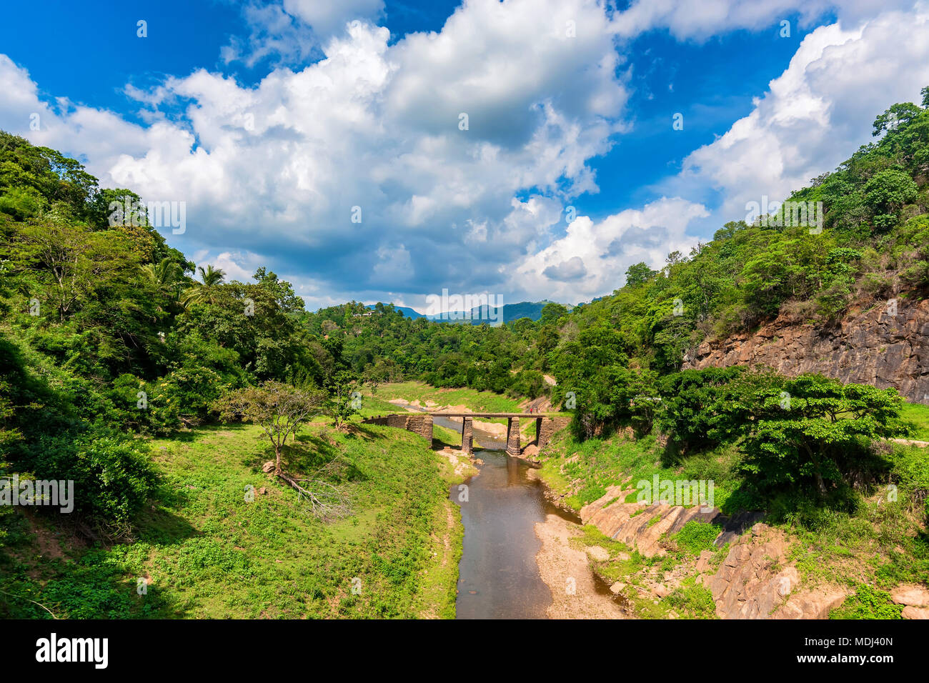 Landscape of bridge over river in jungle Stock Photo - Alamy