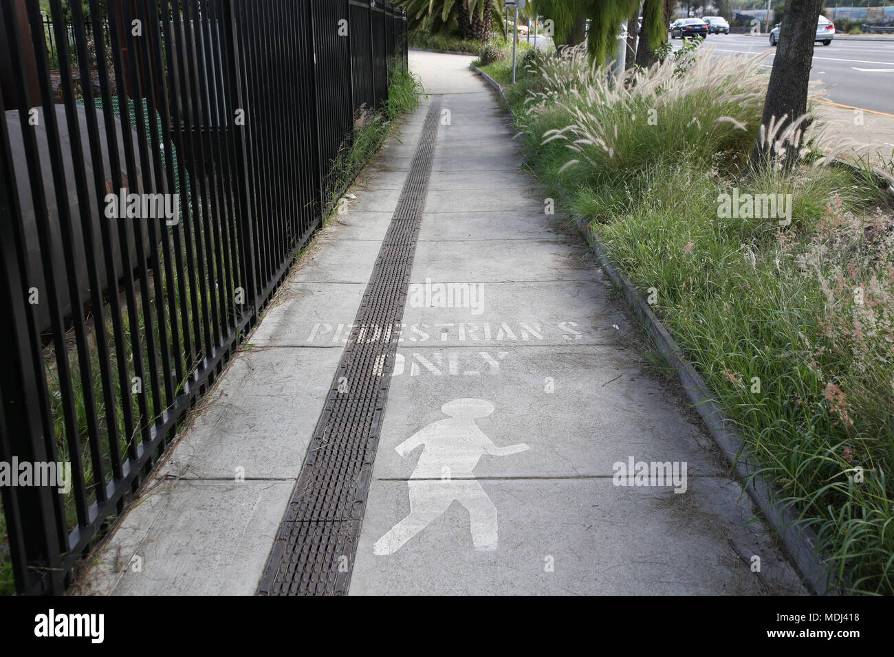 ‘Pedestrians Only’ sign on footpath alongside The Crescent, Rozelle ...