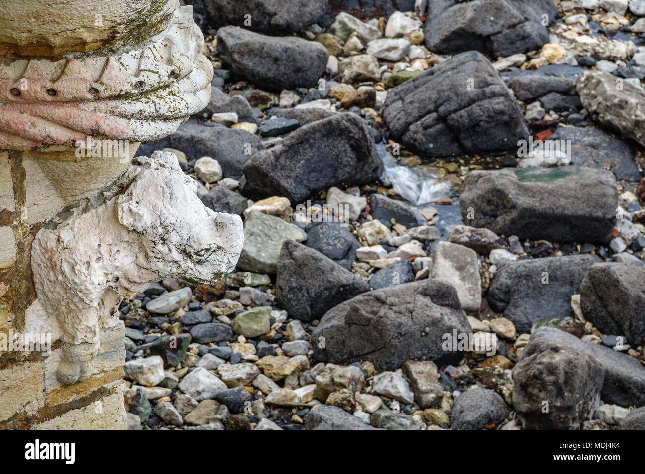 Belem tower rhino closeup on low tide Stock Photo - Alamy