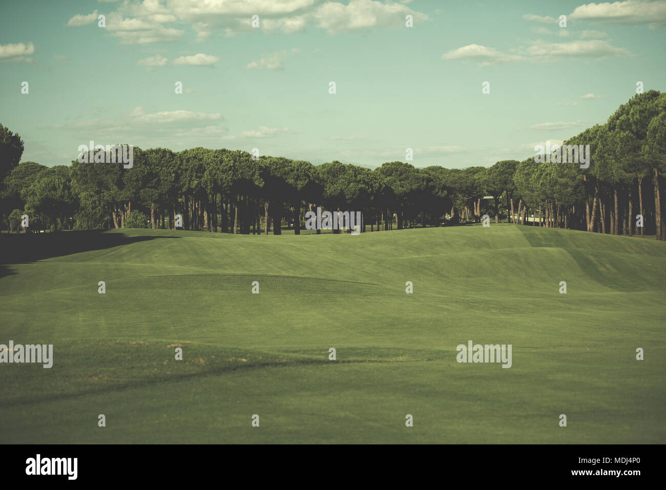 golf course landscape at beautiful fresh morning sunrise Stock Photo ...