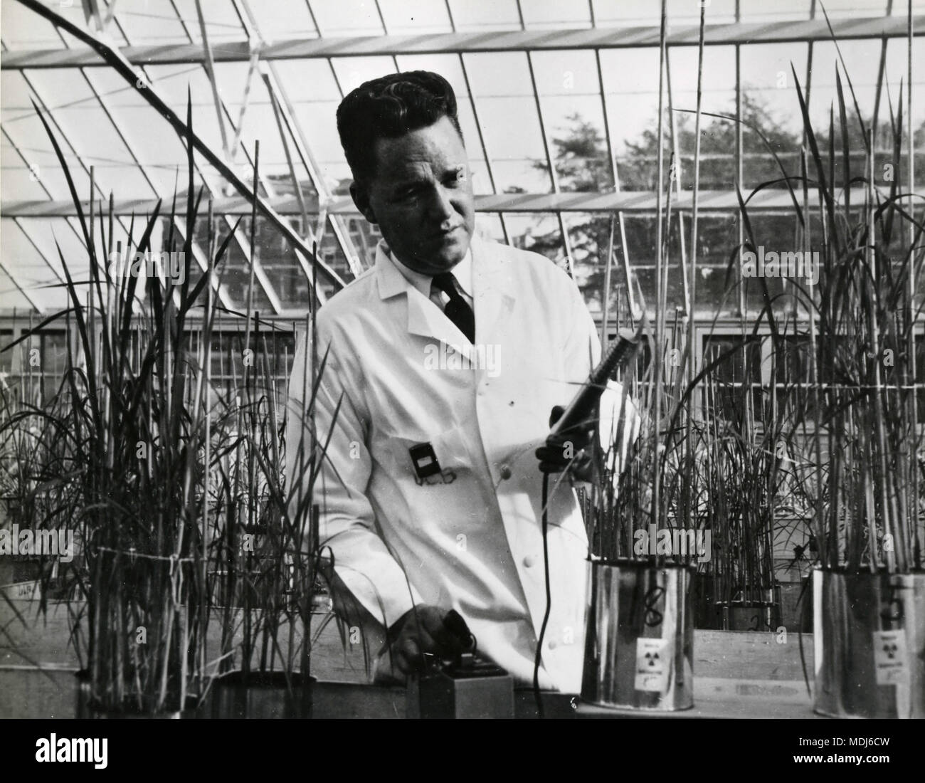 1950s experiment hi-res stock photography and images - Alamy