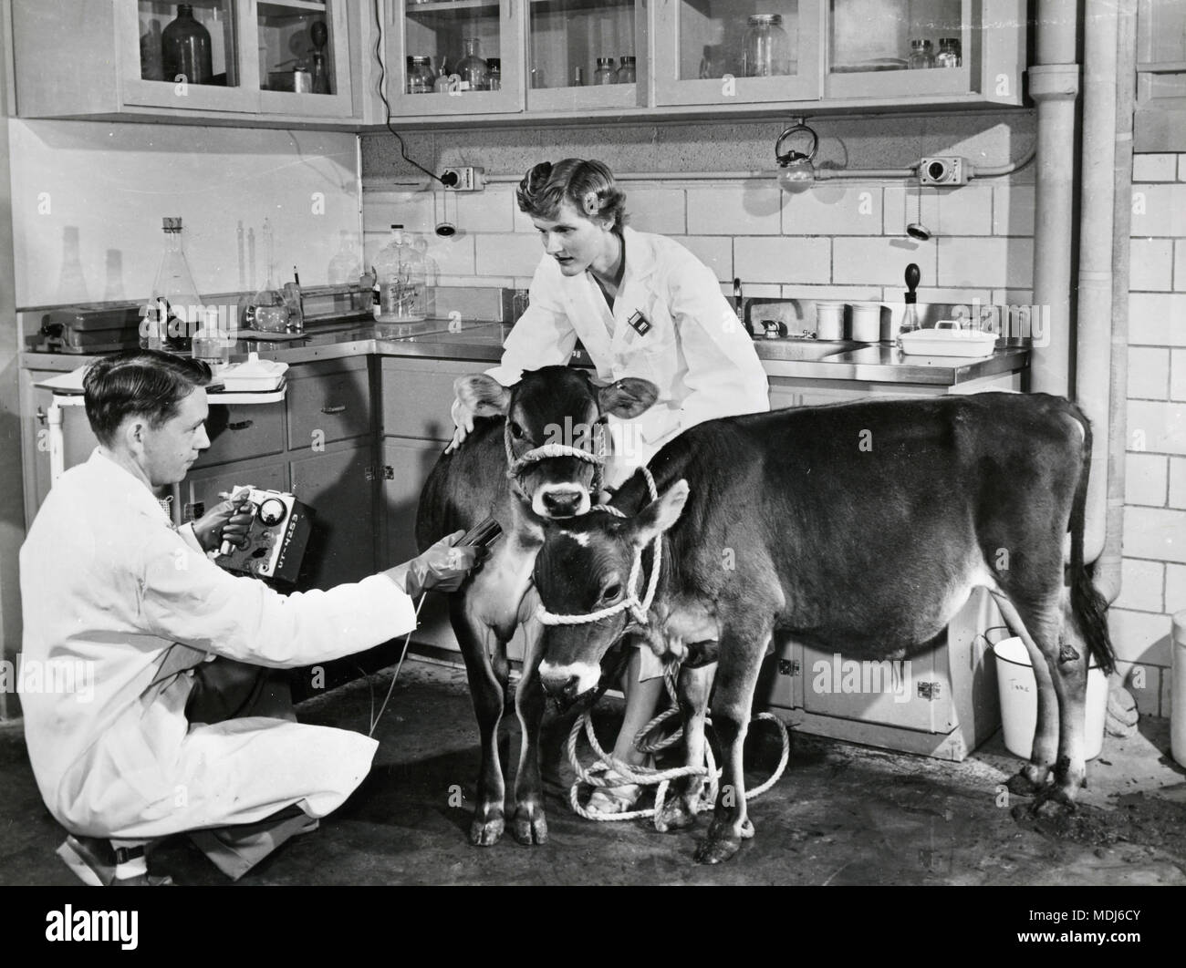 1950s scientist hi-res stock photography and images - Alamy