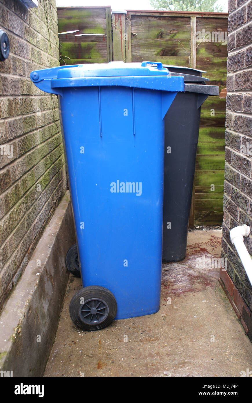 domestic household recycling wheel bin, saving the planet Stock Photo ...