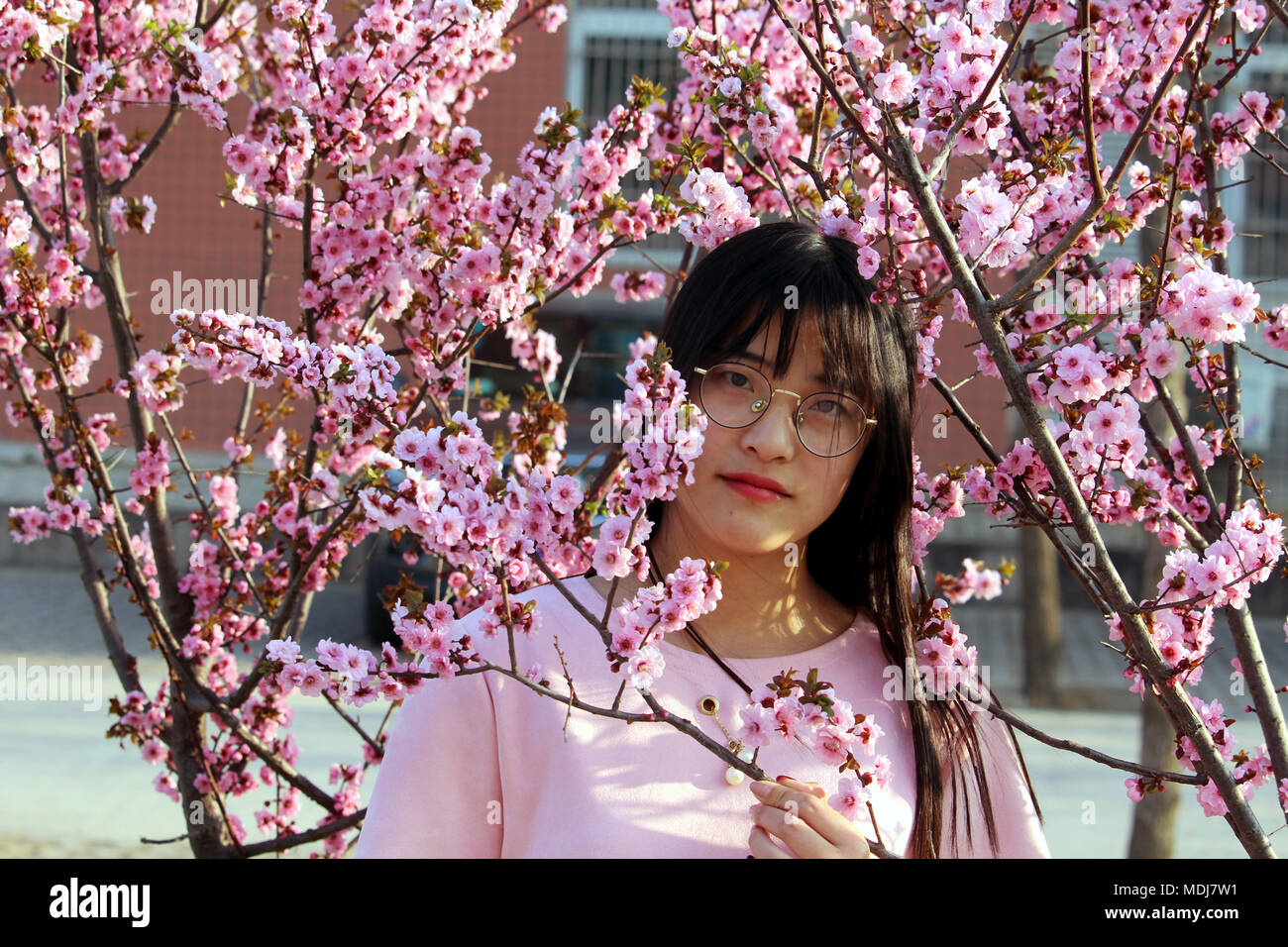 Lady with cherry hi-res stock photography and images - Alamy