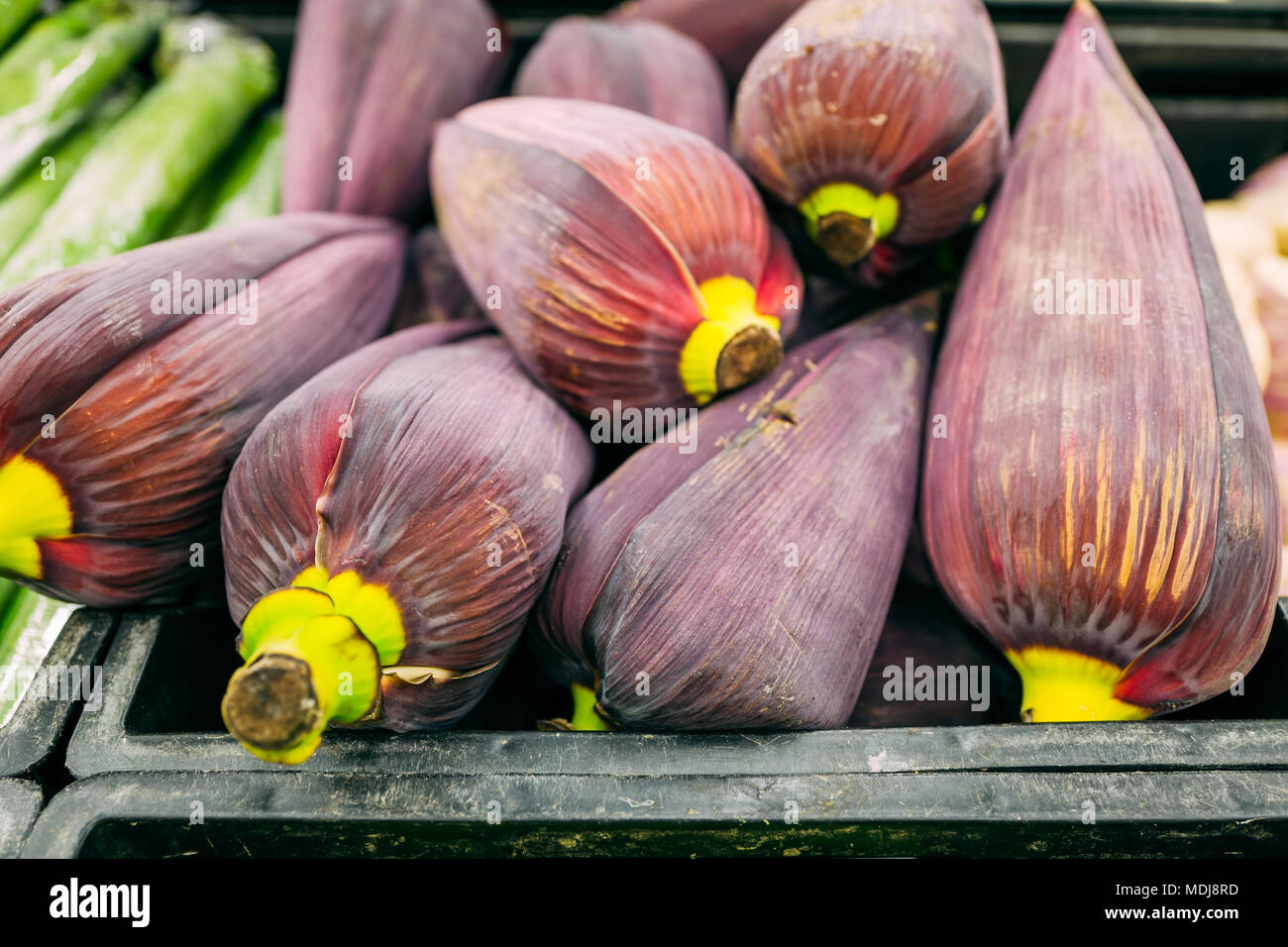 Muscat Flower High Resolution Stock Photography and Images - Alamy