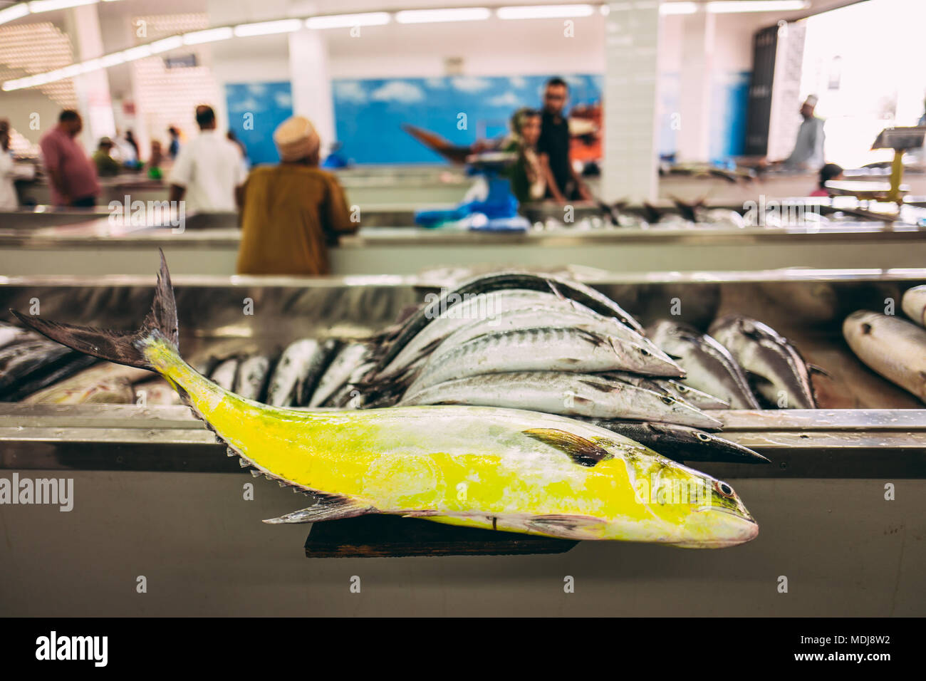 Selling fresh fish in the local fish market in Muscat, Oman Stock Photo ...
