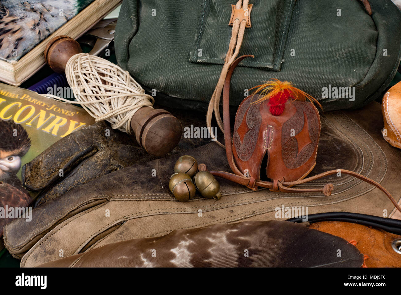Collection of falconry items displayed on table. Wales Stock Photo - Alamy