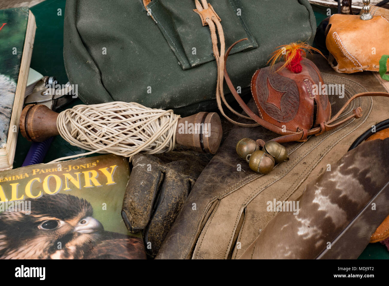 Collection of falconry items displayed on table. Wales Stock Photo - Alamy