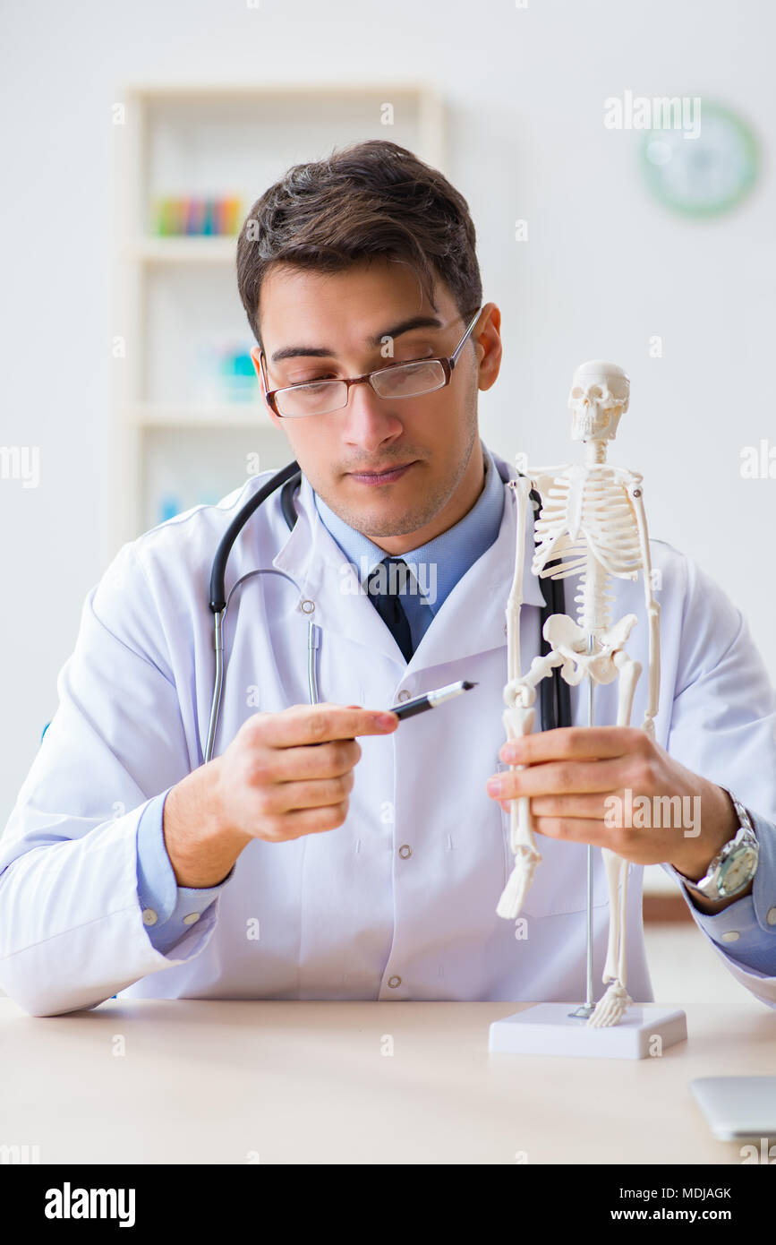 Doctor student studying the bones of skeleton Stock Photo - Alamy