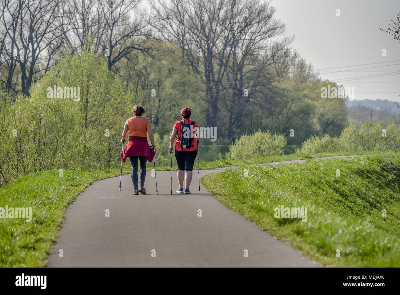 People, women, Nordic Walking Stock Photo - Alamy