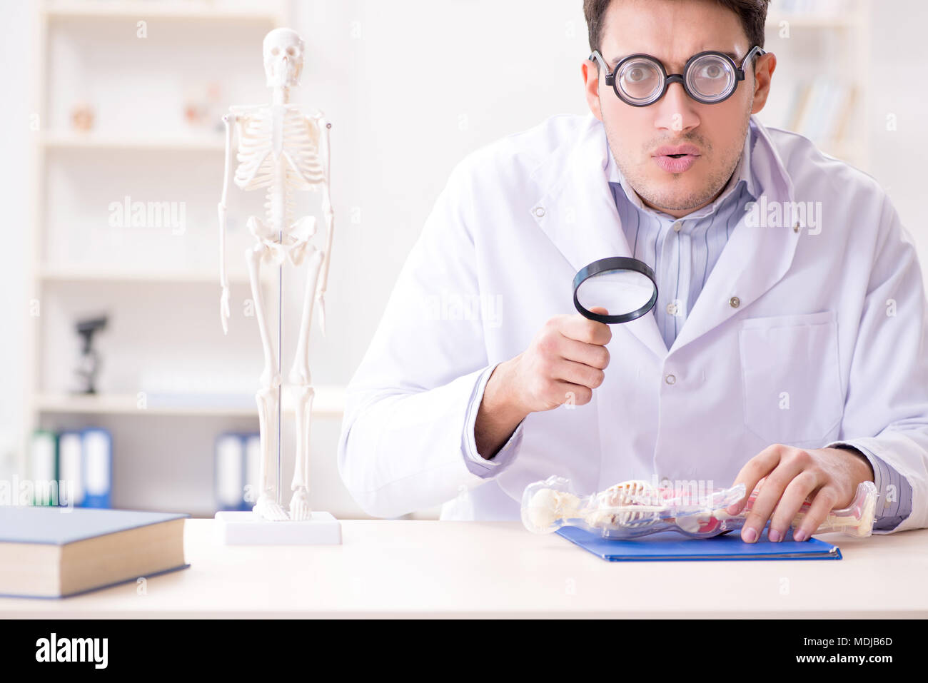 Crazy doctor studying human skeleton Stock Photo - Alamy