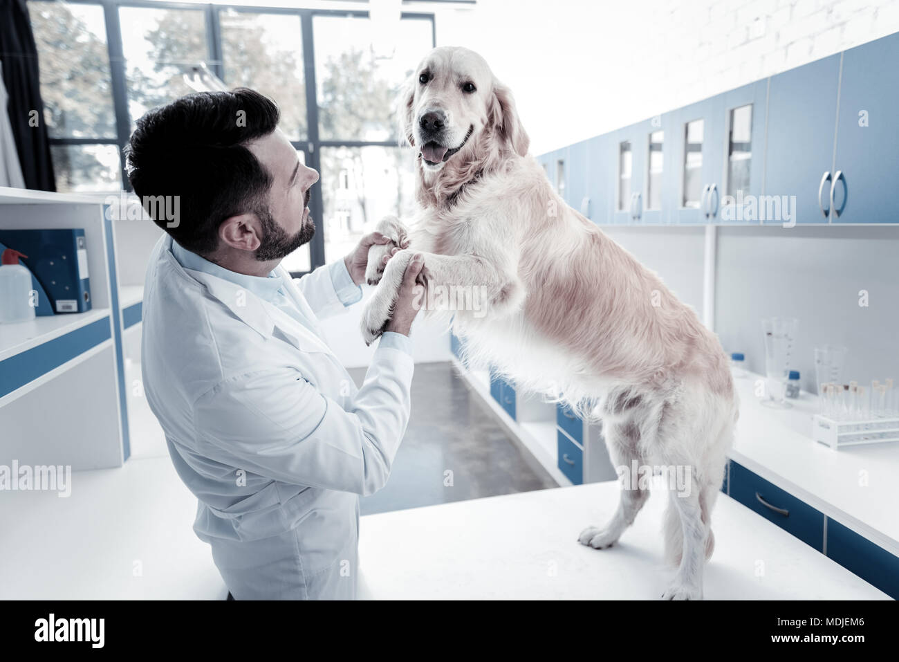 Close up delighted assistant hi-res stock photography and images - Alamy