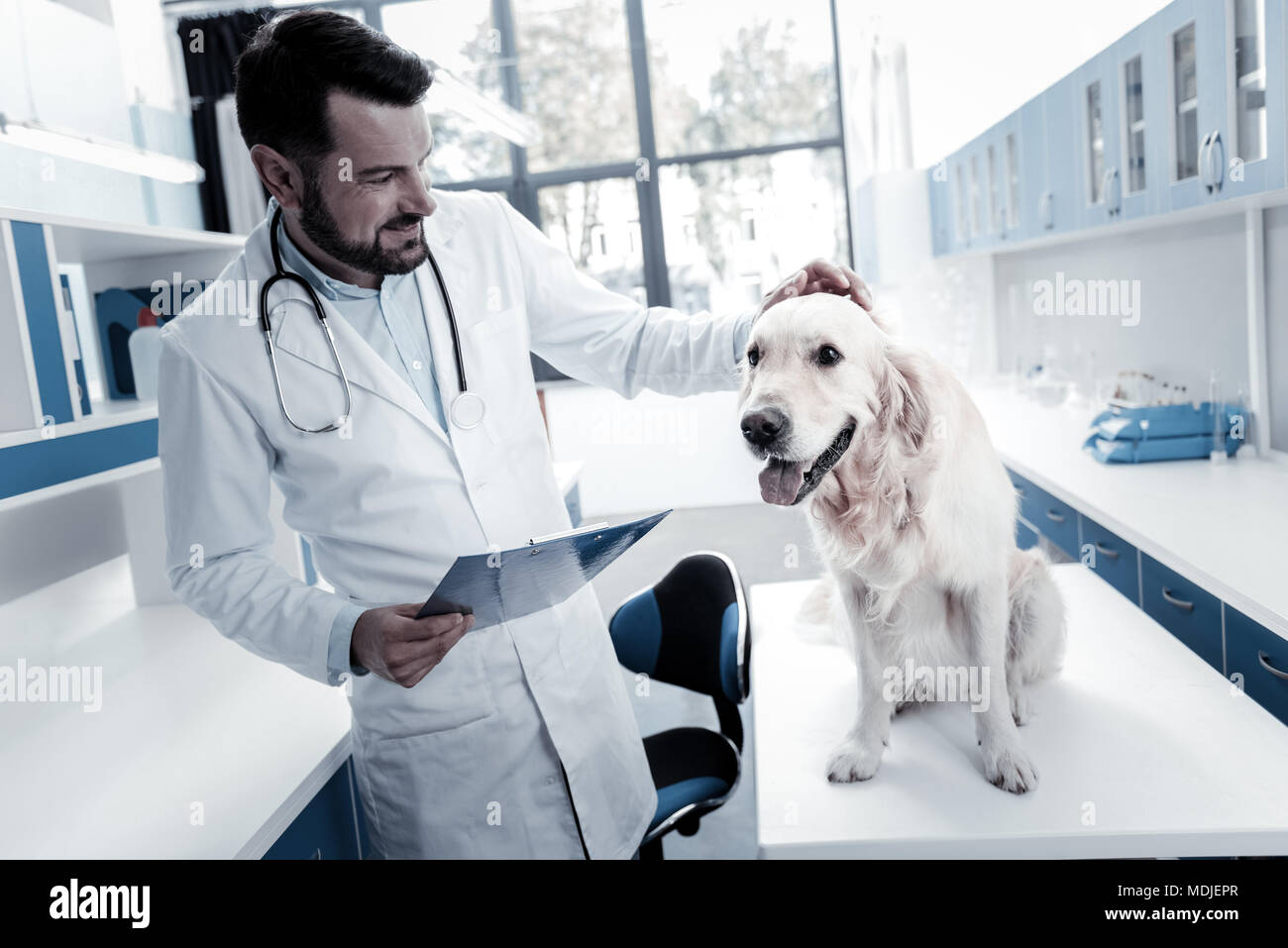 Handsome veterinarian hi-res stock photography and images - Alamy