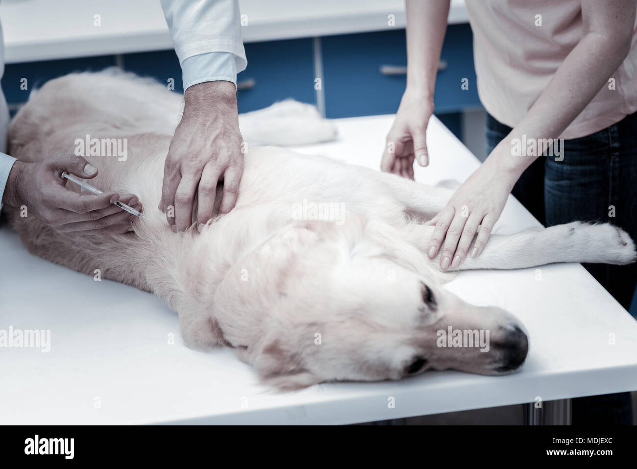 Nice smart doctor doing an injection Stock Photo - Alamy