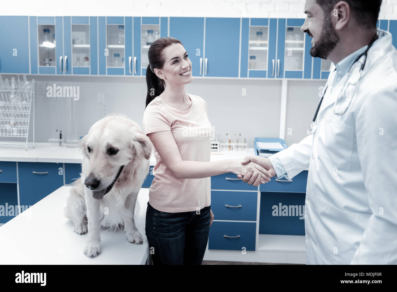Happy delighted woman being thankful to the veterinarian Stock Photo ...