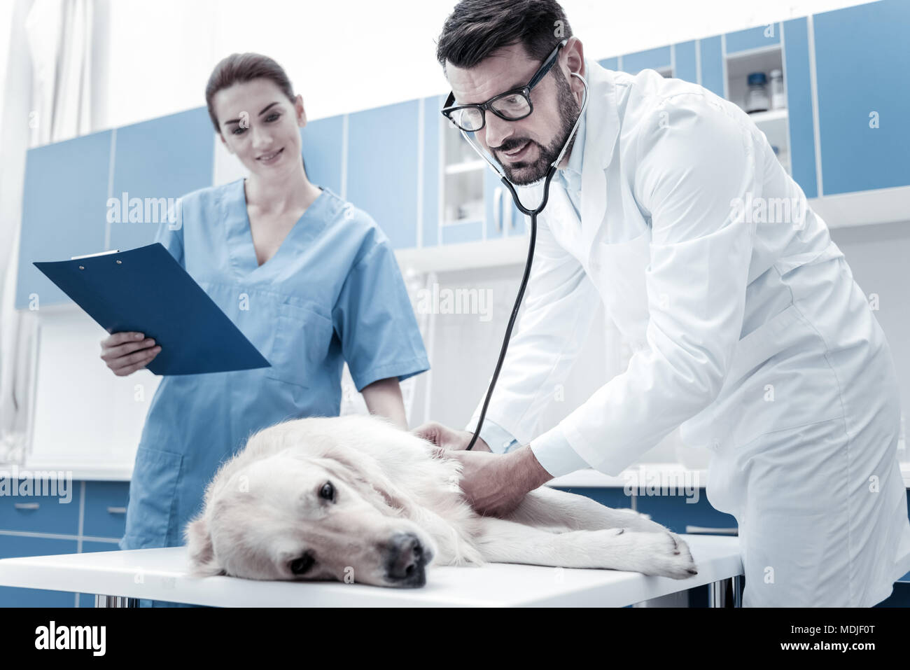 Medical examination hi-res stock photography and images - Alamy