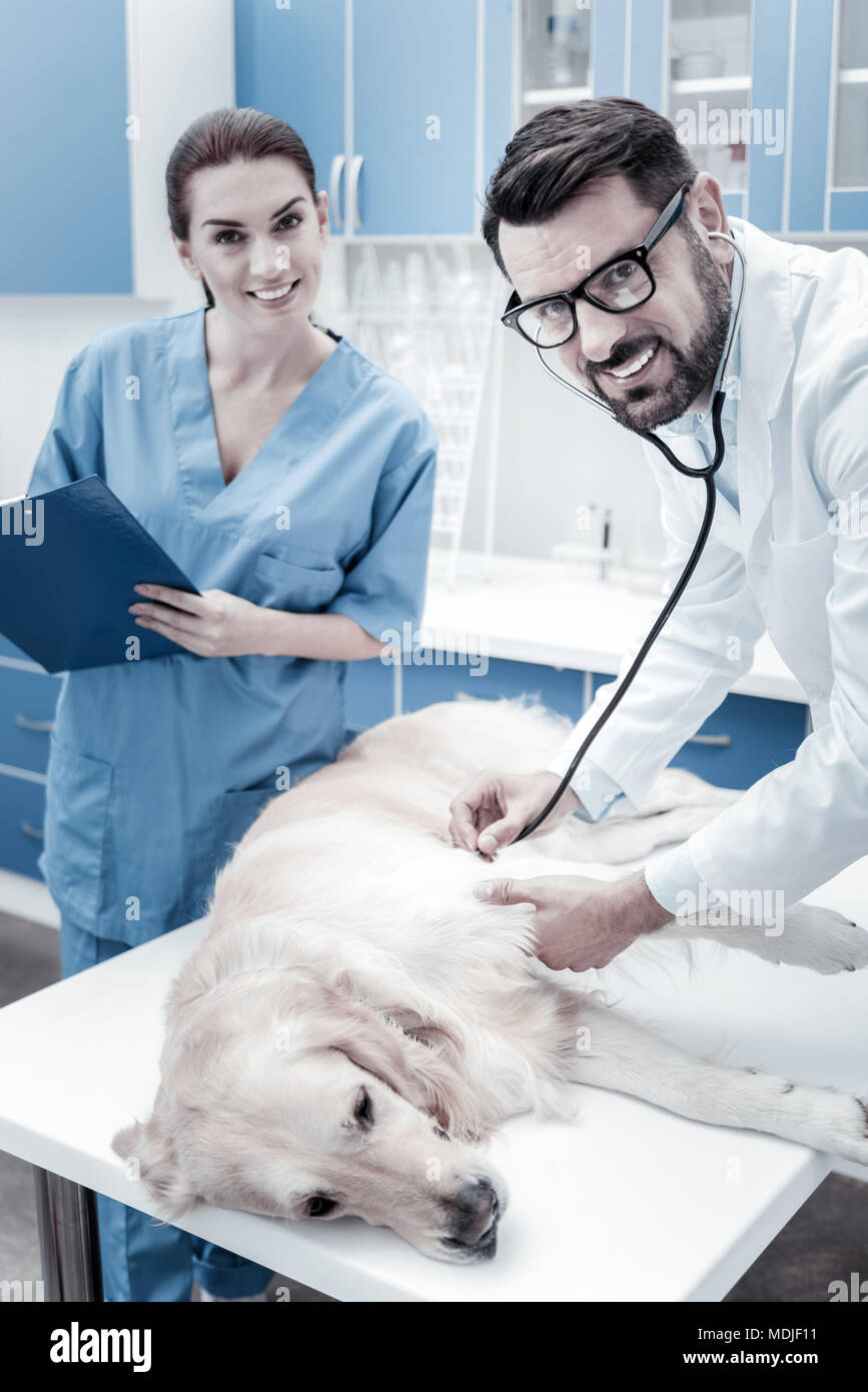 Cheerful positive man smiling Stock Photo - Alamy Cheerful positive man smiling Stock Photo - Alamy