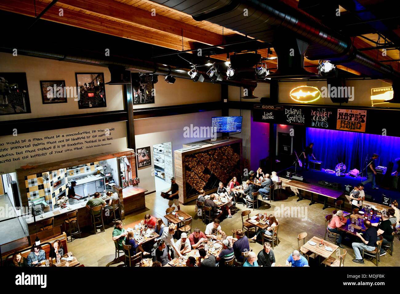 Dogfish head hi-res stock photography and images - Alamy