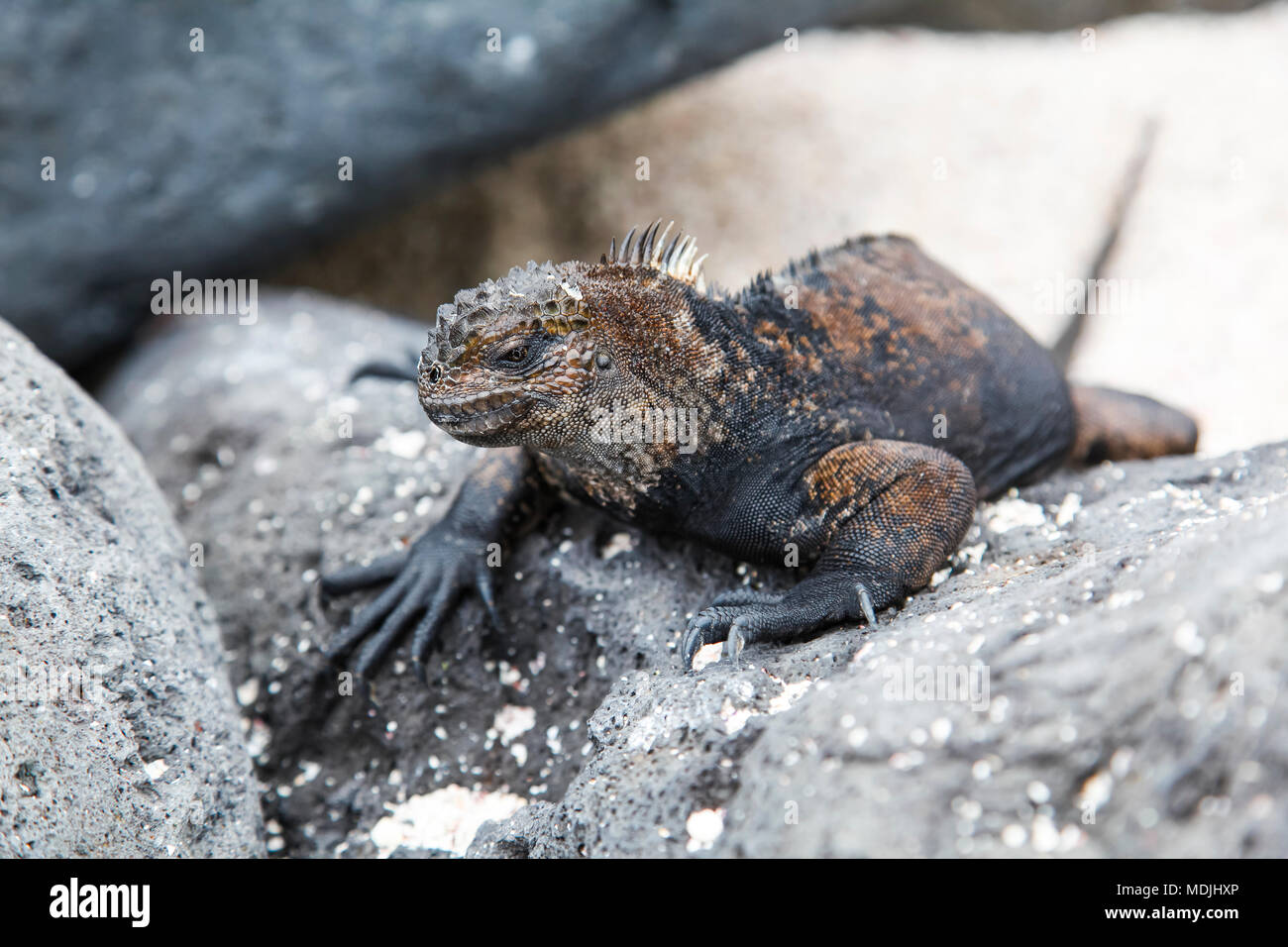 Walking through the rocks hi-res stock photography and images - Alamy