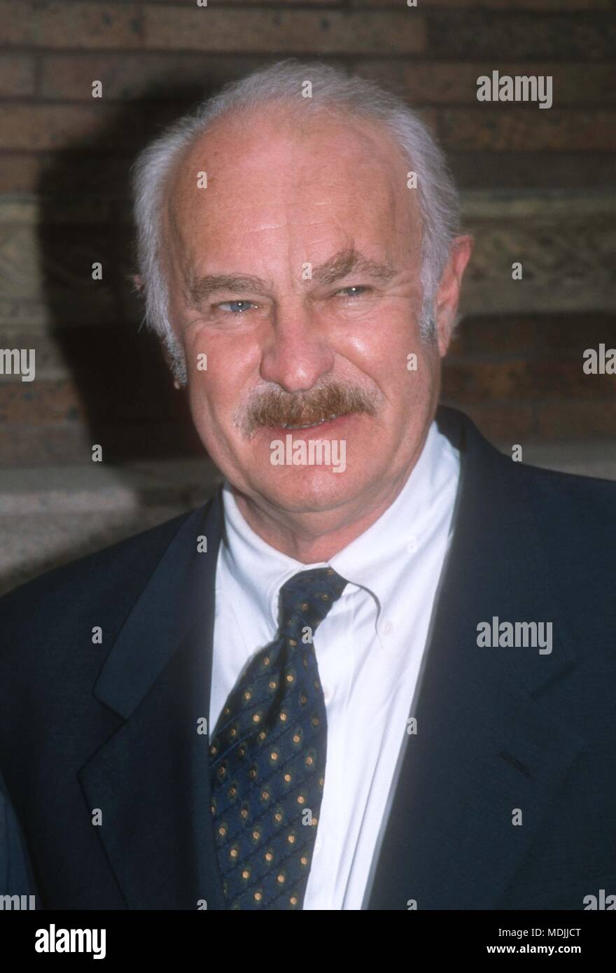 Dabney Coleman 2001 Photo By John Barrett/PHOTOlink.net Stock Photo - Alamy