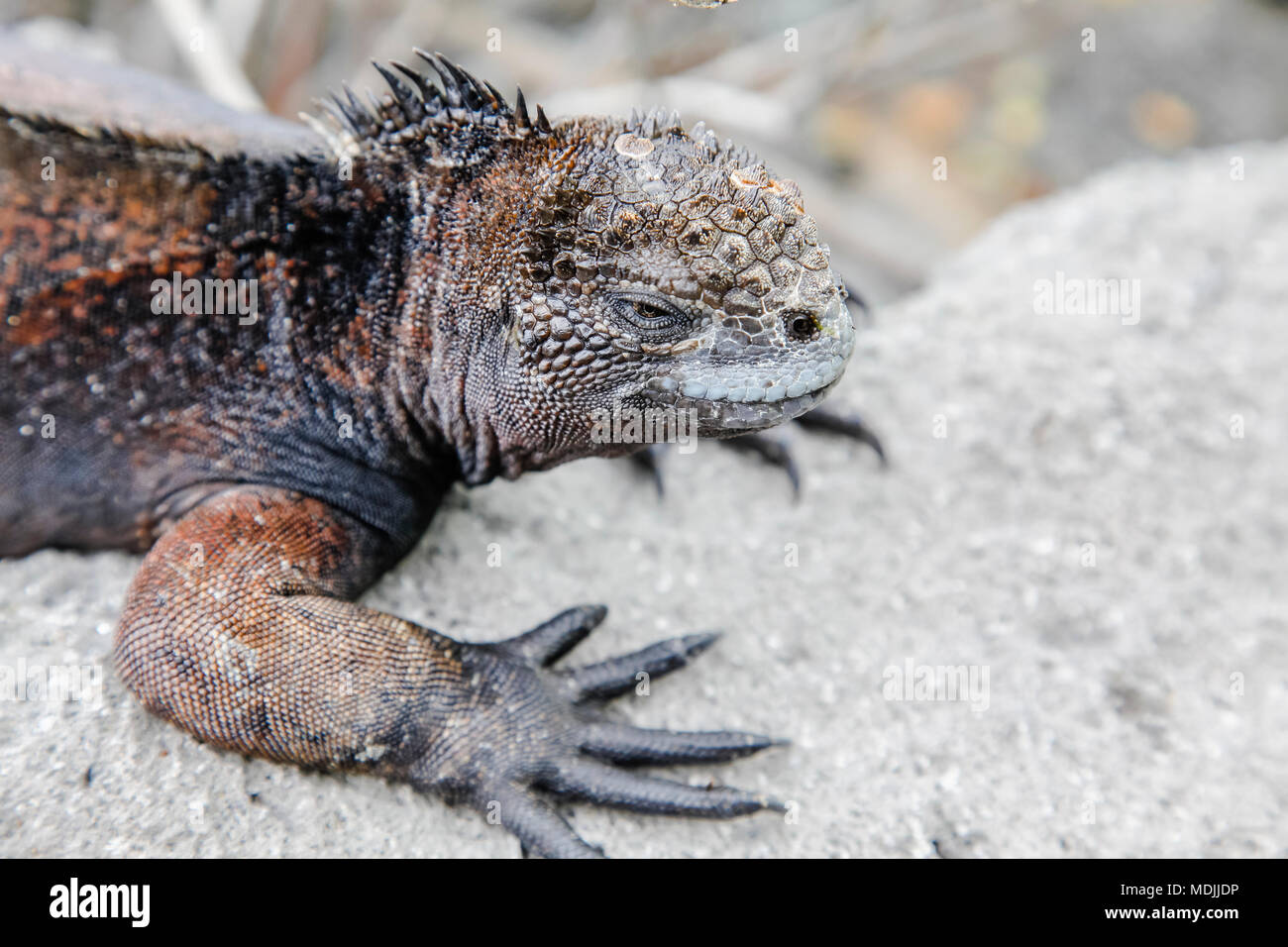 Walking through the rocks hi-res stock photography and images - Alamy