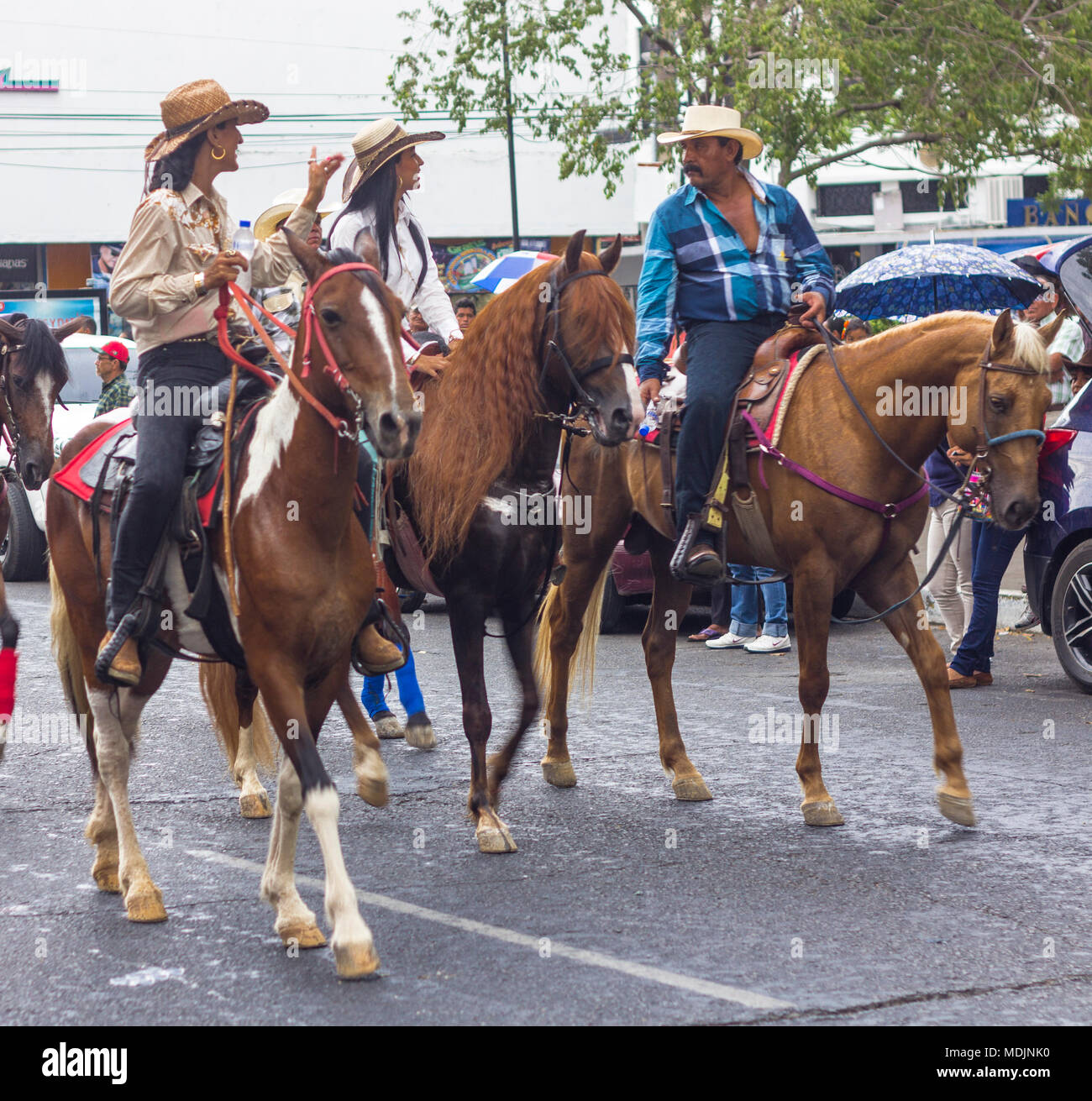Horses and riders parade through the streets of David, Panama, in the ...