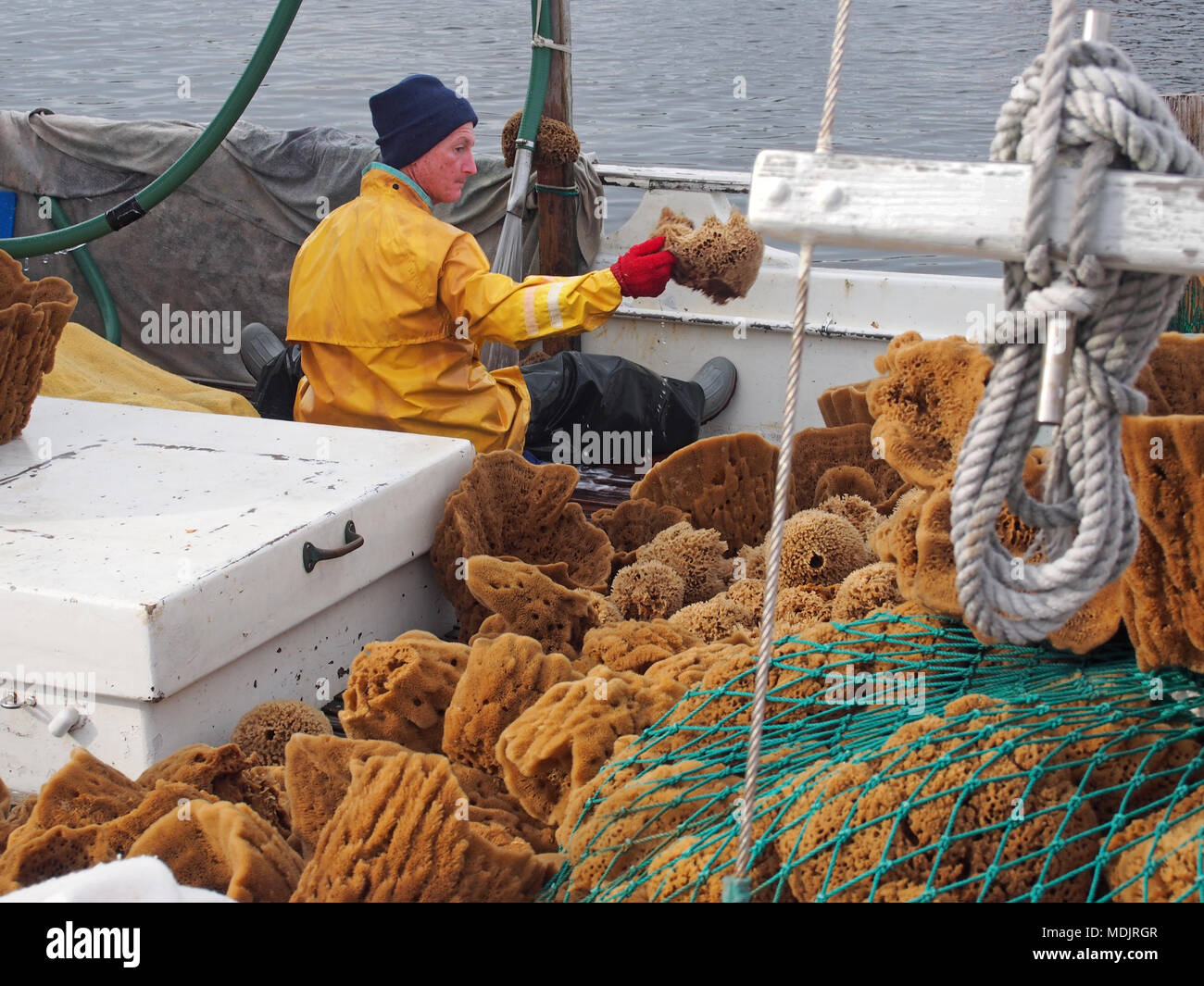 Sponge throw hi-res stock photography and images - Alamy