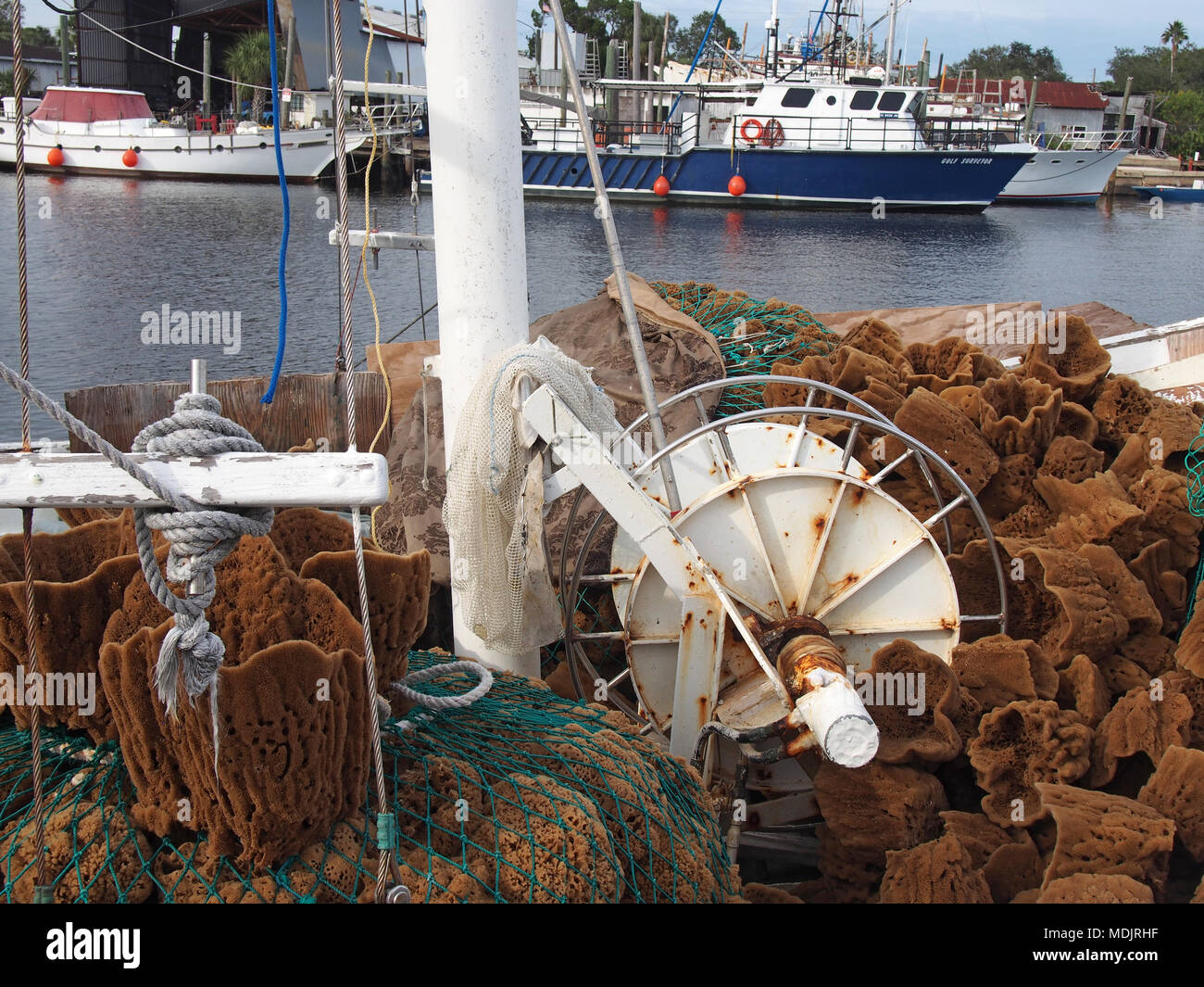 Sponge boat docked in Tarpon Springs, Florida, USA 2017, © Katharine ...