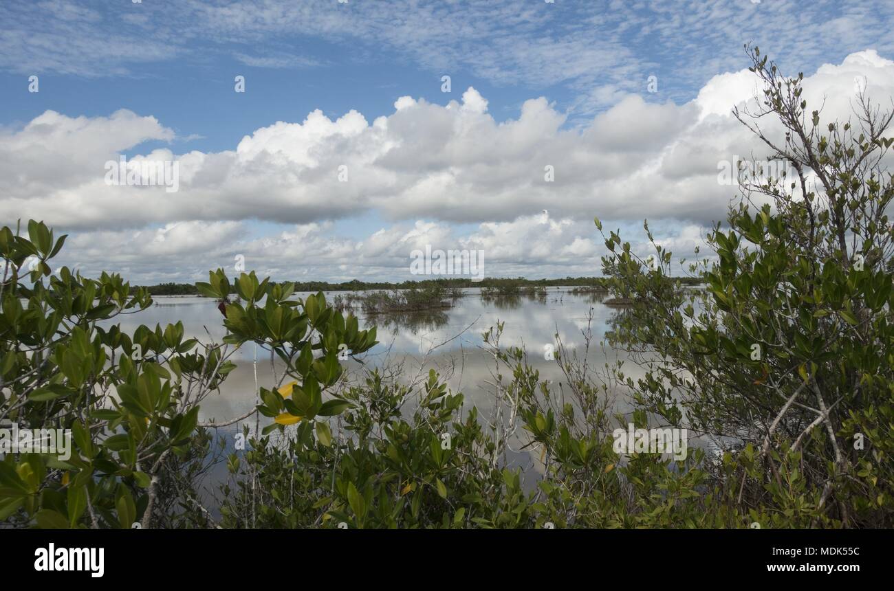 Zapata swamp national park hi-res stock photography and images - Alamy