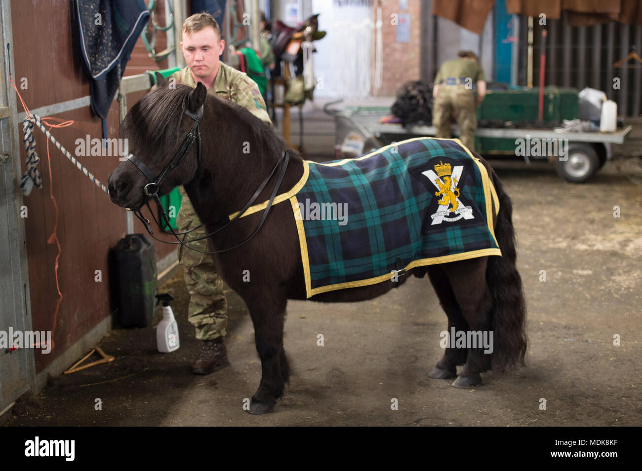 Malcolm Iv Of Scotland High Resolution Stock Photography and Images - Alamy