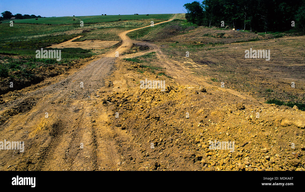 Deforestation, Newbury Bypass Road Building and Protests, Newbury ...