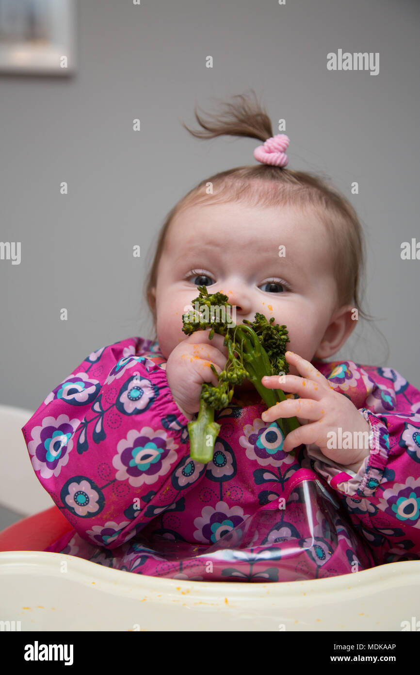 7 month old baby eating hi-res stock photography and images - Alamy