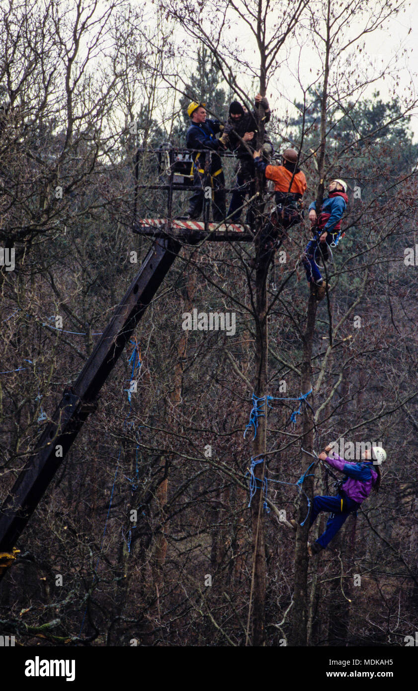 Climbers Removing Protesters from Tree, Newbury Bypass Road Building ...