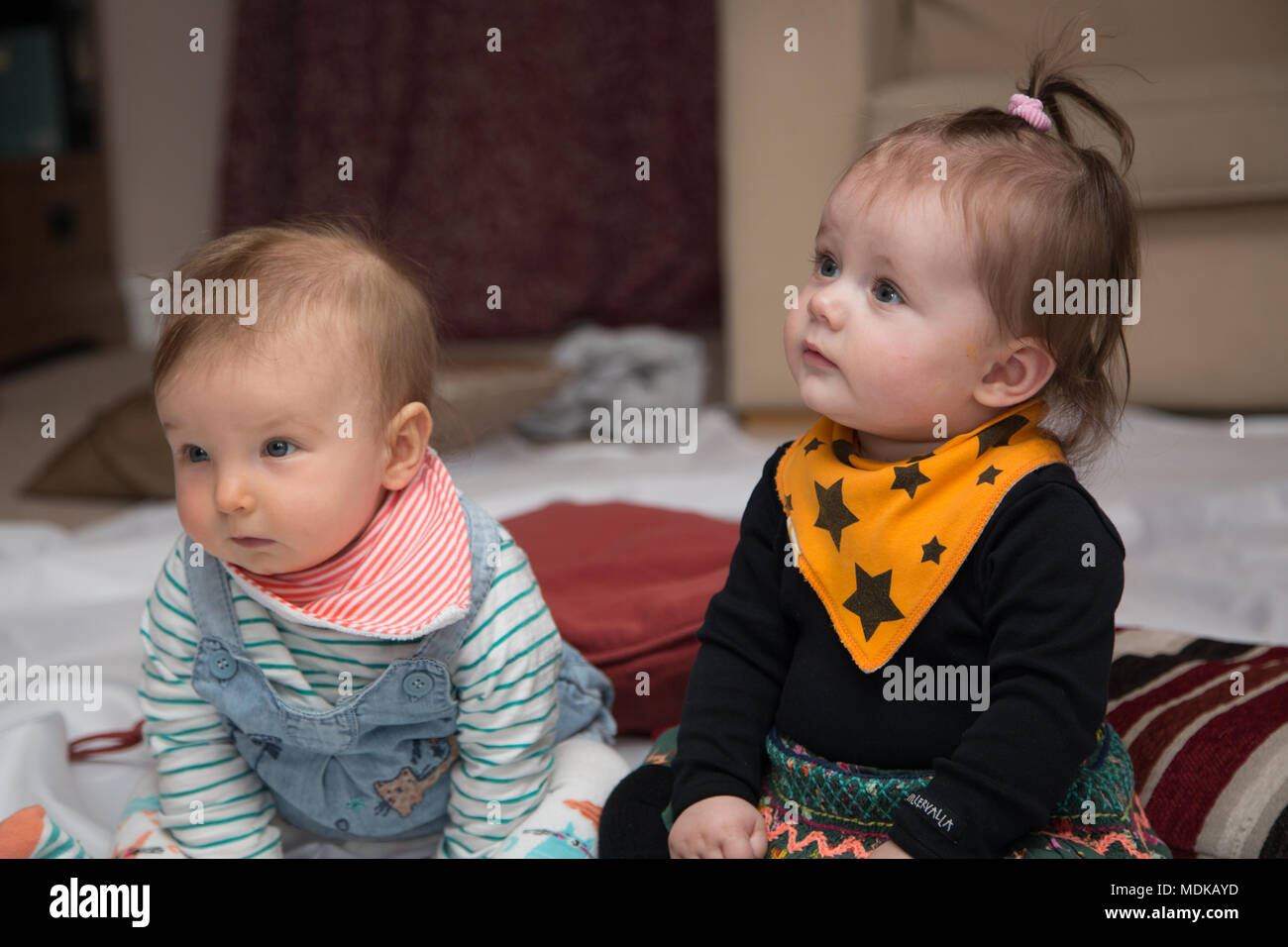 Babies playing together hi-res stock photography and images - Alamy