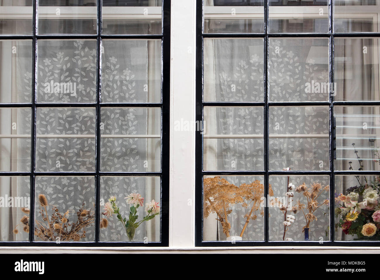 Traditional Dutch window with tulle and dry bouquets on the windowsill ...