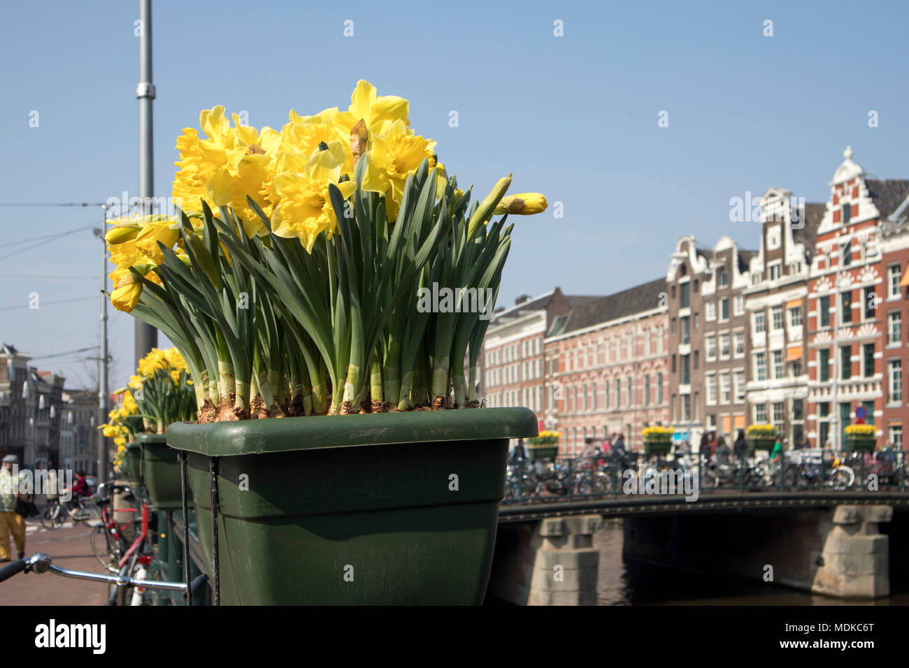 Amsterdam, Holland - 14 April 2018 The annual festival of spring ...