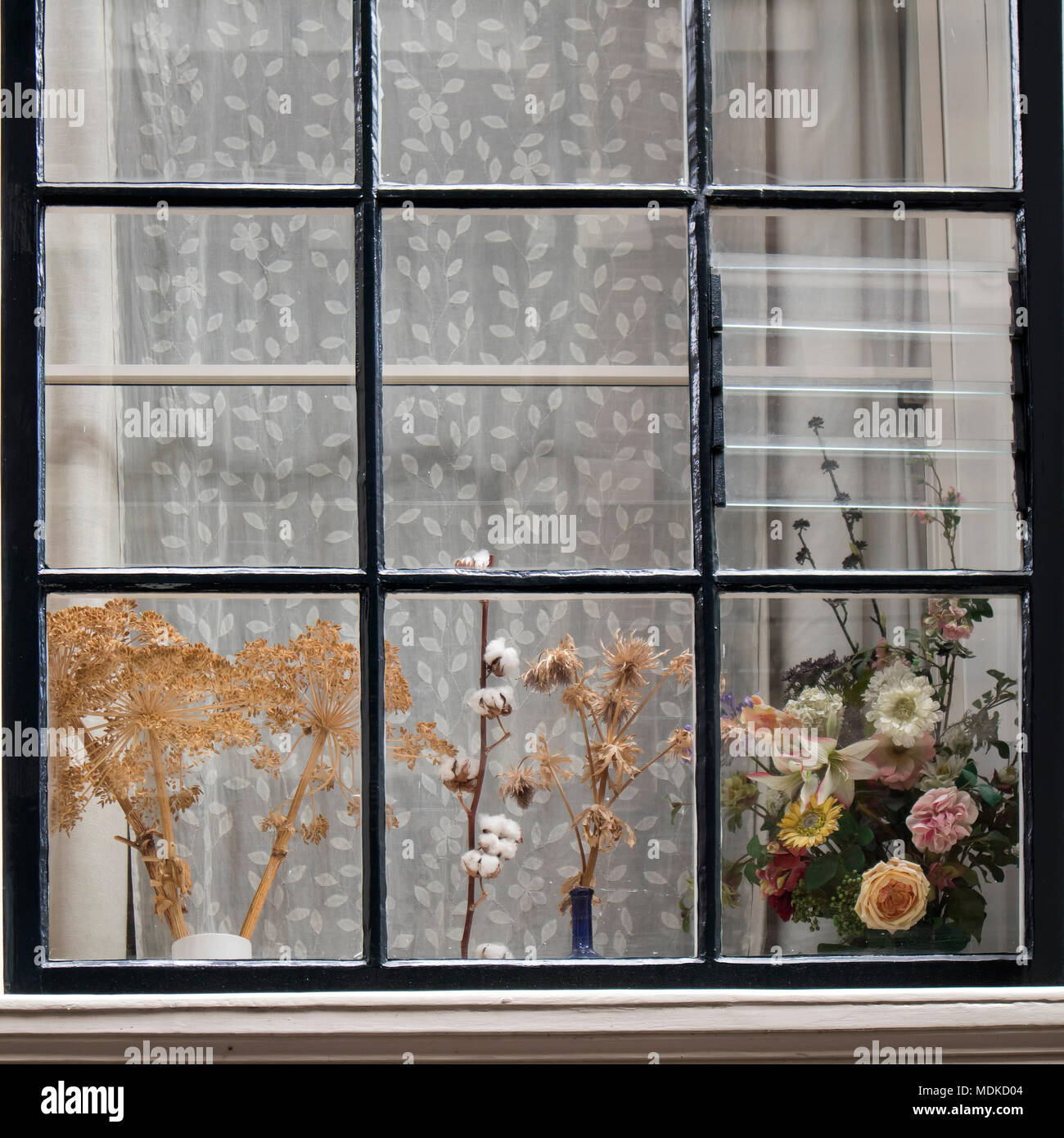 Traditional Dutch window with tulle and dry bouquets on the windowsill ...