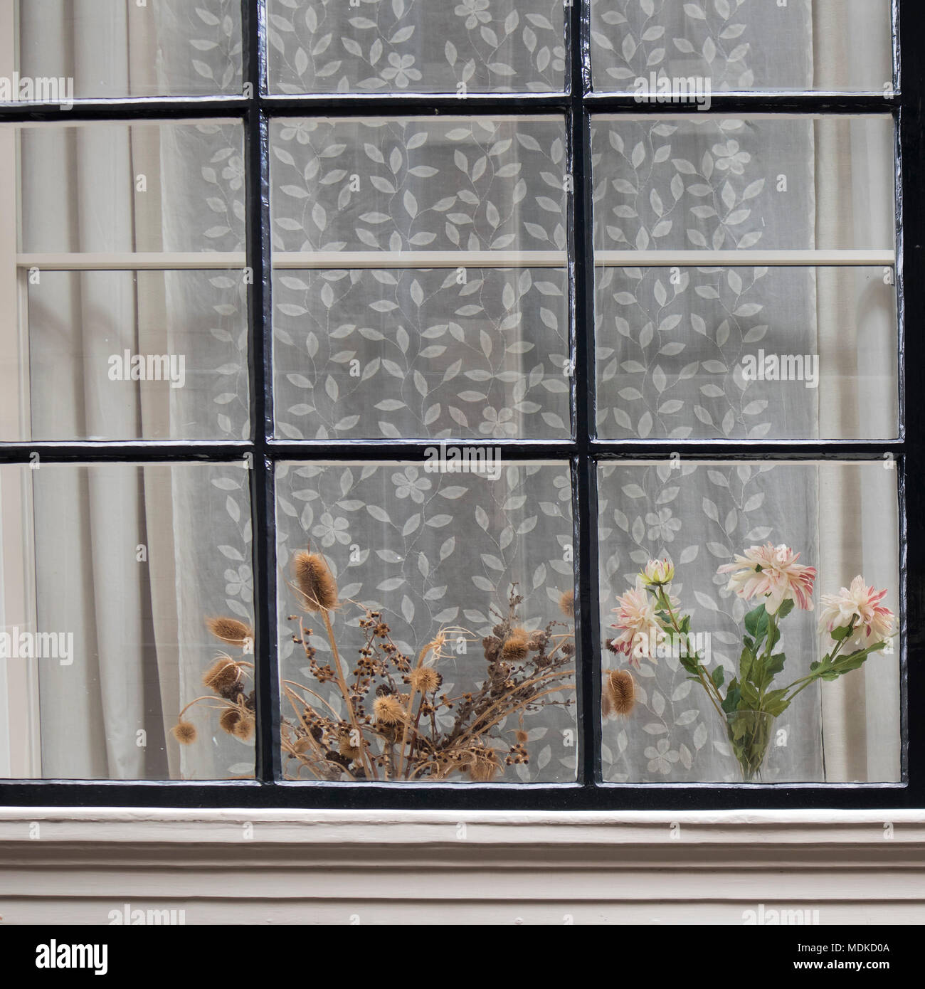 Traditional Dutch window with tulle and dry bouquets on the windowsill ...