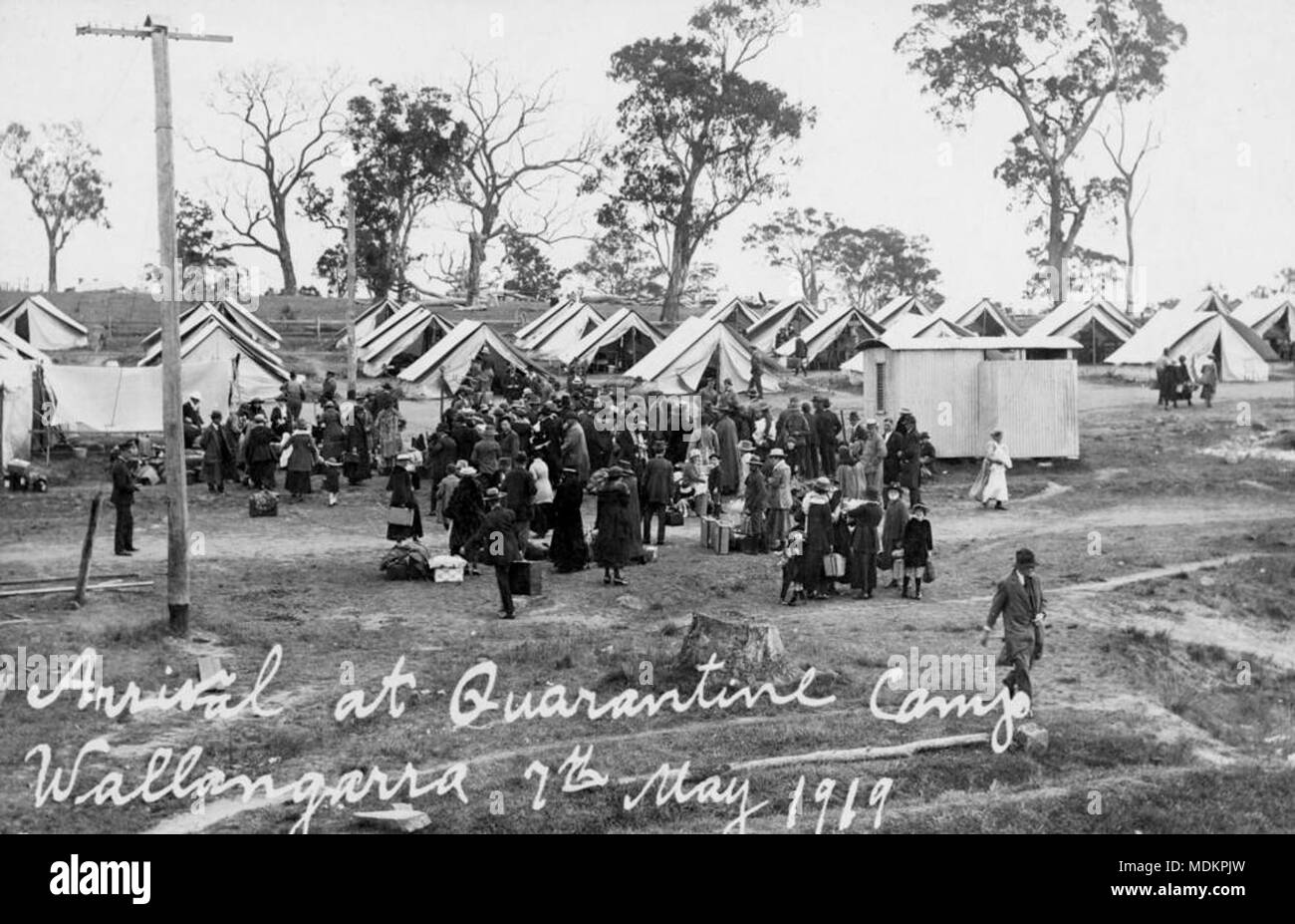 Arrival at Quarantine Camp, Wallangarra (1919 Stock Photo - Alamy