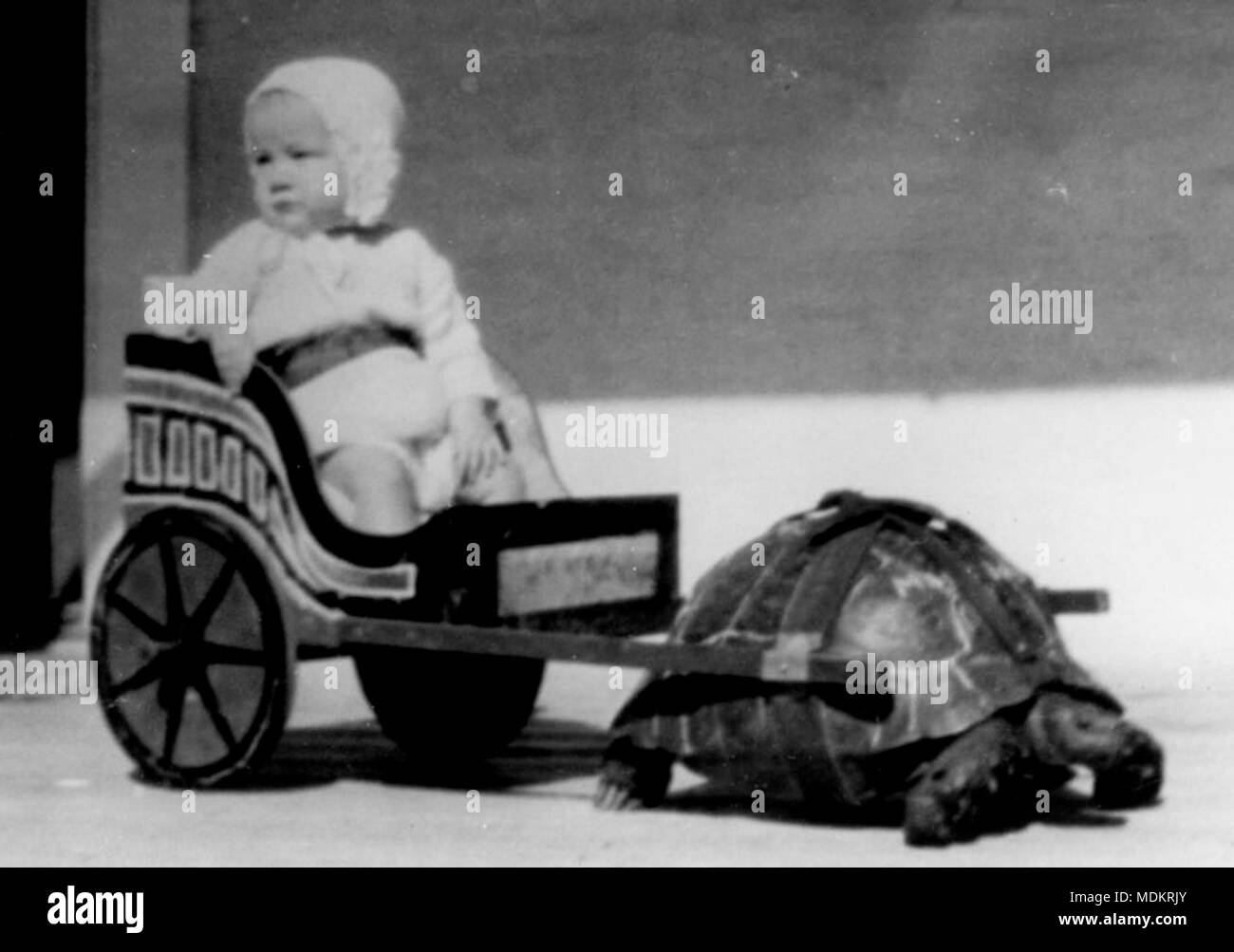 Roman in chariot Black and White Stock Photos & Images - Alamy
