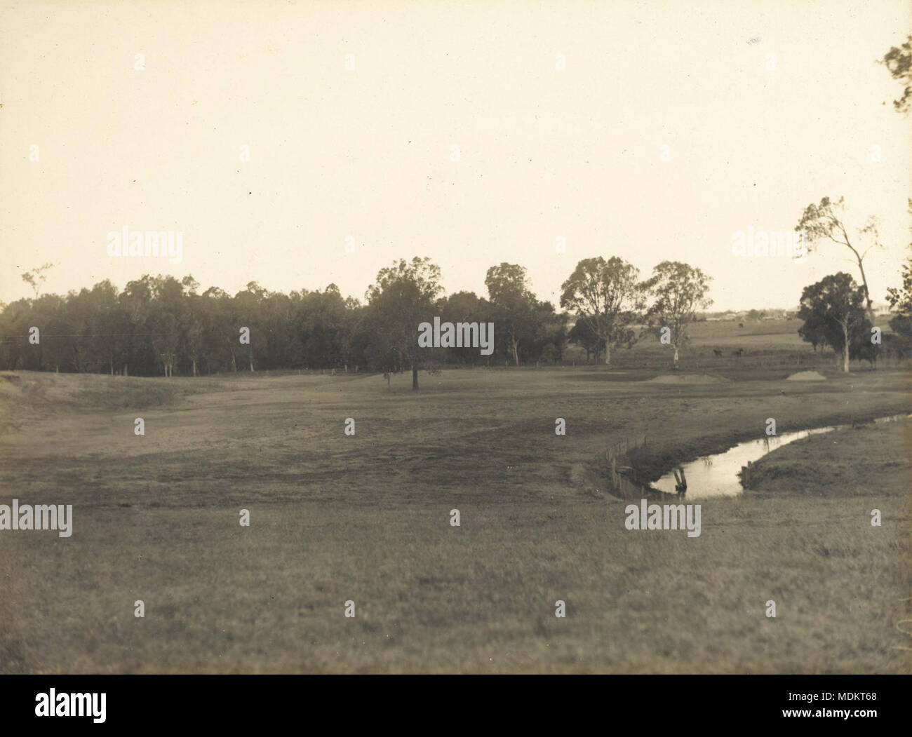 Brisbane Golf Club 1929 Stock Photo - Alamy