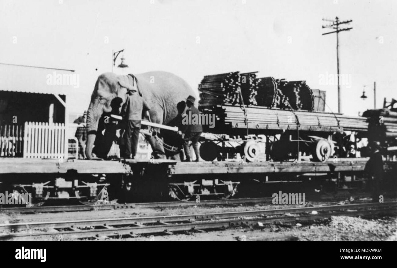 1920s circus train hi-res stock photography and images - Alamy
