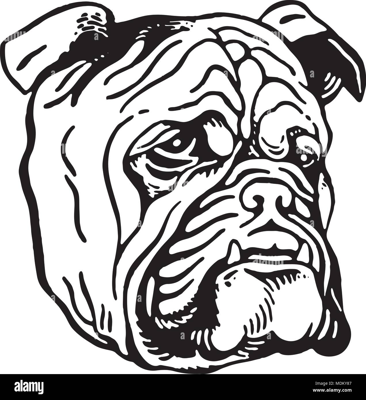 Bulldog Clip Art Hi res Stock Photography And Images Alamy bulldog-clip-art-hi-res-stock-photography-and-images-alamy
