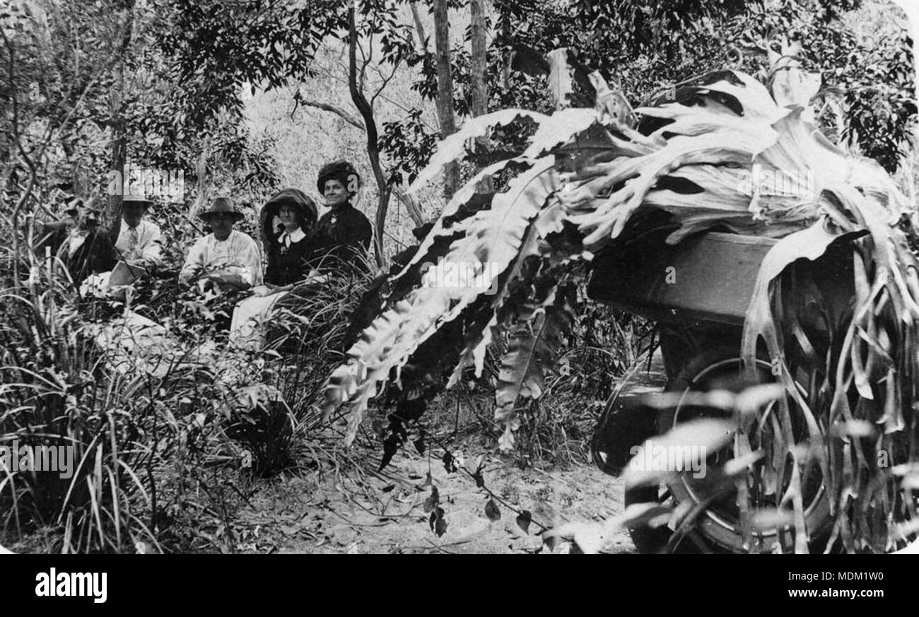 Group of people having a picnic in the bush near Stock Photo - Alamy
