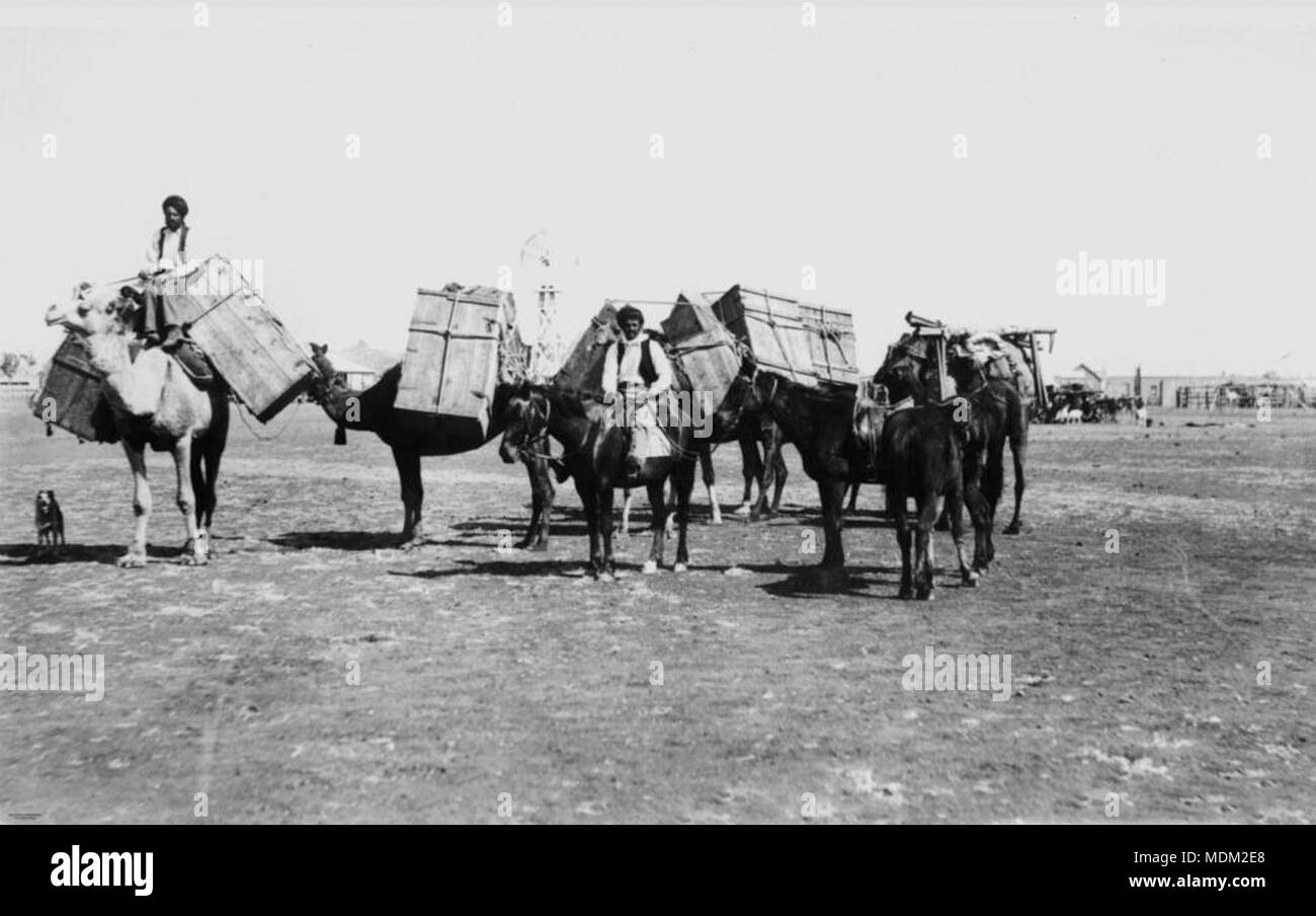 Camel team hi-res stock photography and images - Alamy