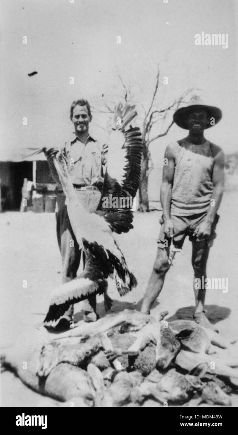 Kangaroo hunting in Adavale, Queensland ca 1928 Stock Photo - Alamy