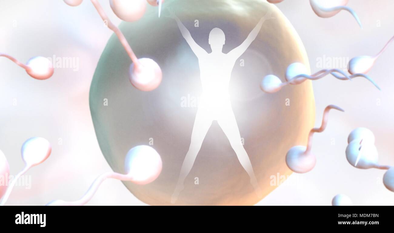 Sperm reproduction ovary with human silhouette Stock Photo - Alamy