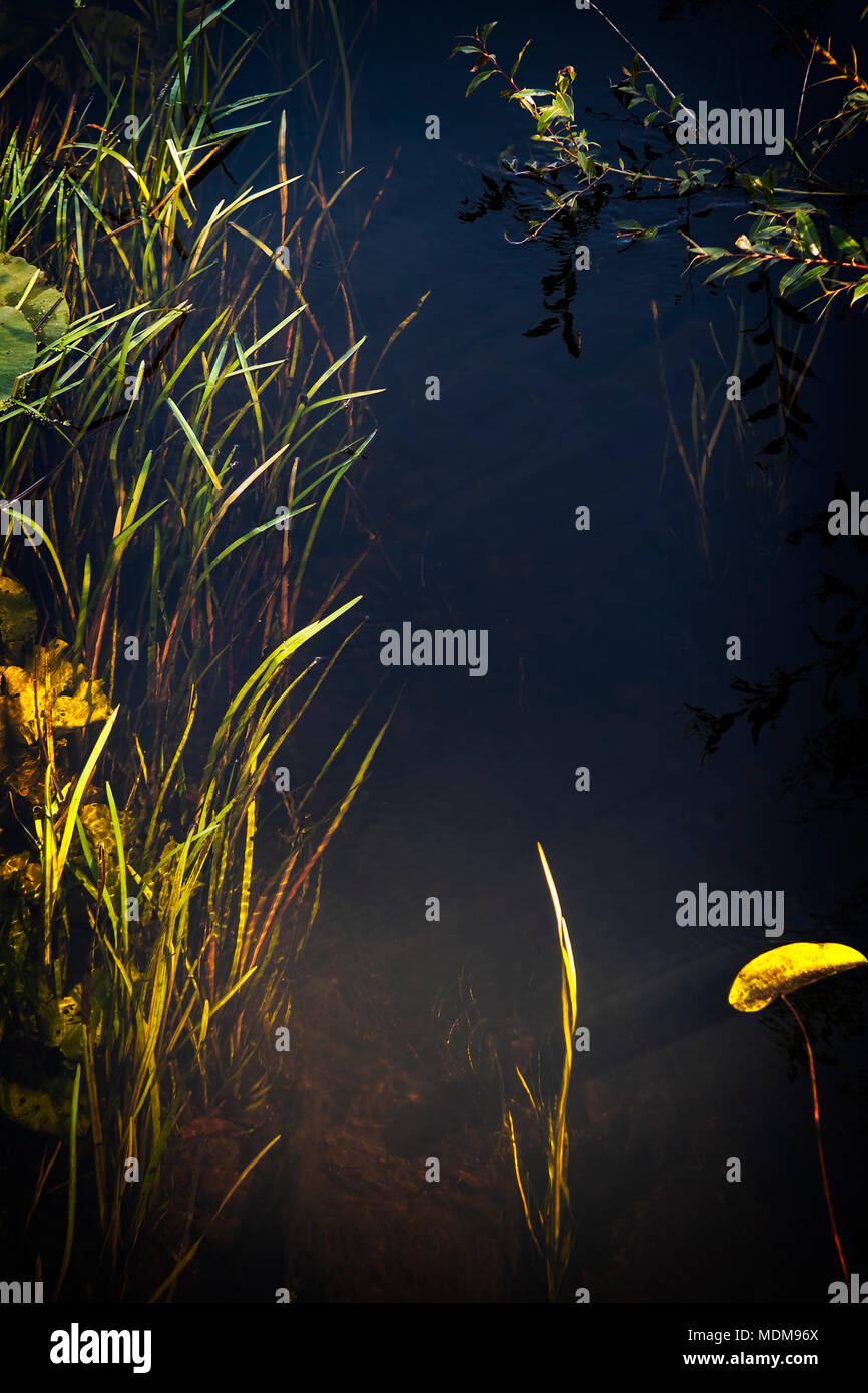 Underwater world river hi-res stock photography and images - Alamy