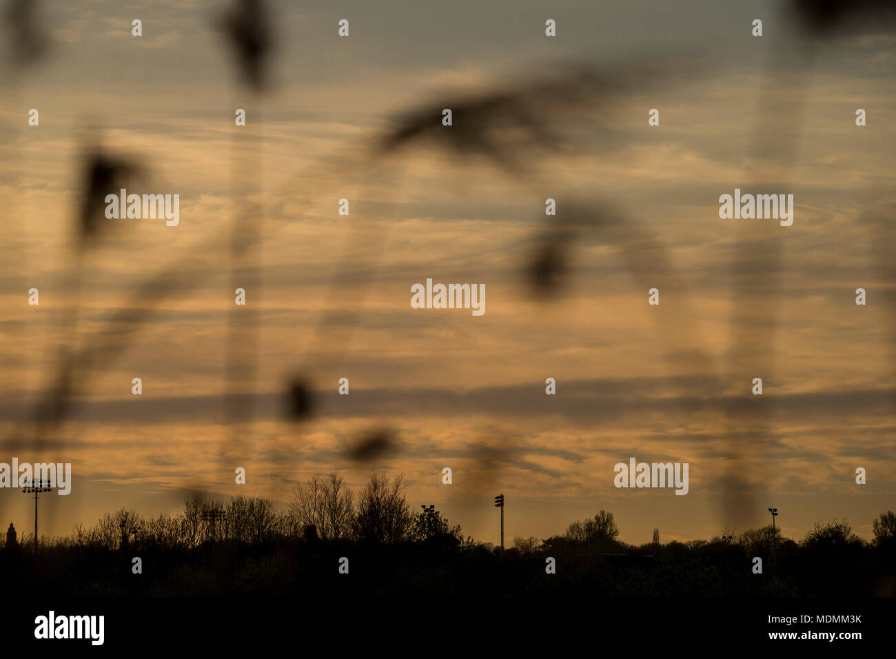 Saints rugby club hi-res stock photography and images - Alamy