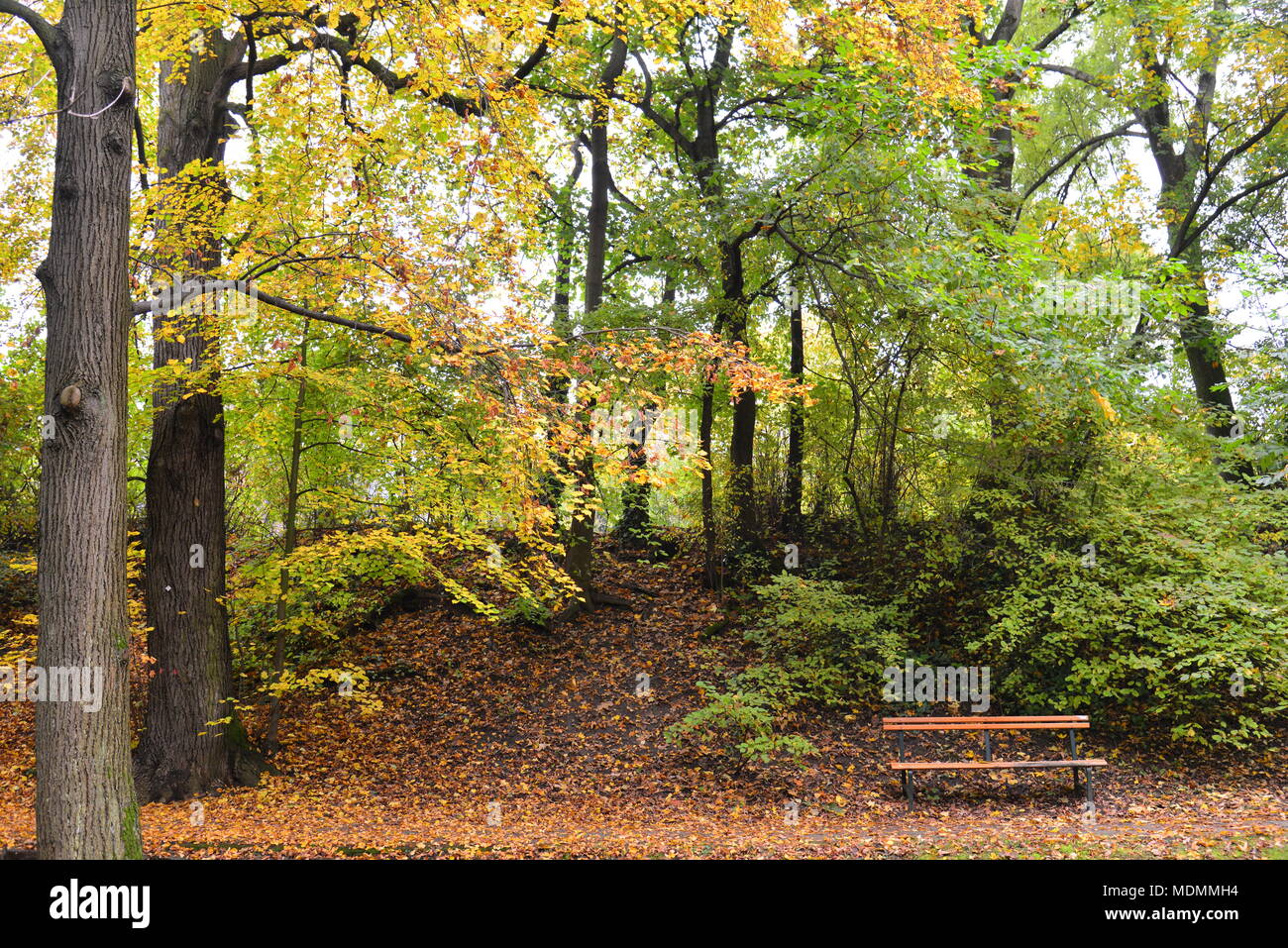 spot- Trail Beethovengang Stock Photo - Alamy